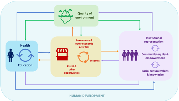 E-commerce for Rural Development: Greening the Production - Part 3 | United Nations Development ...